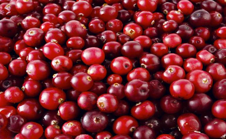 O poder da Cranberry para sua dieta - Blog Nature Center